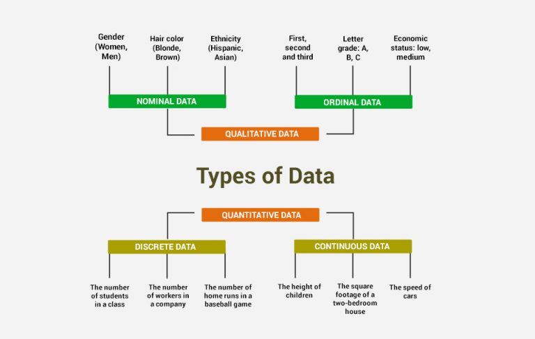 An Introduction to Data types in Statistics